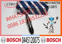 China Diesel Engine Common Rail Injector Assembly 0445120075 for sale