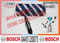 China Diesel Engine Common Rail Injector Assembly 0445120075 for sale
