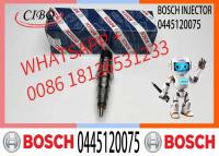 China Diesel Engine Common Rail Injector Assembly 0445120075 for sale