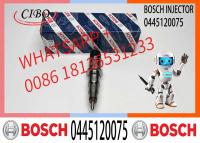China Diesel Engine Common Rail Injector Assembly 0445120075 for sale