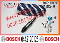 China China New 0445120125 Diesel Car Fuel Injector Common Rail Injector 0445120125 For Komatsu for sale