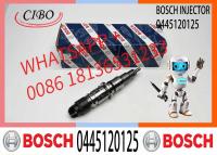 China China New 0445120125 Diesel Car Fuel Injector Common Rail Injector 0445120125 For Komatsu for sale