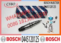 China China New 0445120125 Diesel Car Fuel Injector Common Rail Injector 0445120125 For Komatsu for sale