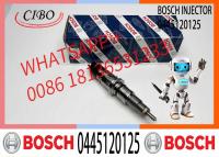 China China New 0445120125 Diesel Car Fuel Injector Common Rail Injector 0445120125 For Komatsu for sale