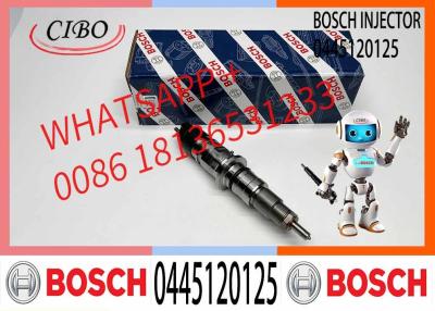 China China New 0445120125 Diesel Car Fuel Injector Common Rail Injector 0445120125 For Komatsu for sale