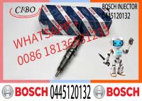 China Fuel Pump Injector 0 445 120 132 0445 120 132 Electronic Unit Injectors 0445120132 For Car for sale