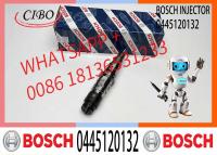 China Fuel Pump Injector 0 445 120 132 0445 120 132 Electronic Unit Injectors 0445120132 For Car for sale