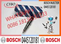 China 0445120181 Diesel Fuel Injection 0445 120 181 Common Rail Injector Nozzle 0 445 120 181 For Engine Car for sale