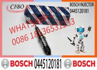 China 0445120181 Diesel Fuel Injection 0445 120 181 Common Rail Injector Nozzle 0 445 120 181 For Engine Car for sale