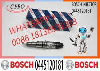 China 0445120181 Diesel Fuel Injection 0445 120 181 Common Rail Injector Nozzle 0 445 120 181 For Engine Car for sale
