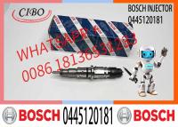 China 0445120181 Diesel Fuel Injection 0445 120 181 Common Rail Injector Nozzle 0 445 120 181 For Engine Car for sale