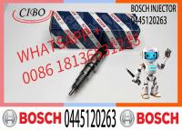 China Fuel Injector 0445 120 263 0 445 120 263 Diesel Injector 0445120263 For FAW 2S1112010-L20-0000 for sale