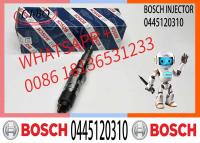 China Diesel Injector 0445120310 D5010222526 Injector 0 445 120 310 0445 120 310 for sale