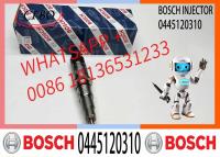 China Diesel Injector 0445120310 D5010222526 Injector 0 445 120 310 0445 120 310 for sale