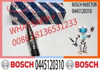China Diesel Injector 0445120310 D5010222526 Injector 0 445 120 310 0445 120 310 for sale