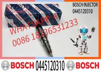 China Diesel Injector 0445120310 D5010222526 Injector 0 445 120 310 0445 120 310 for sale