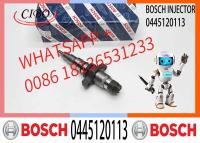 China Diesel Engine Common Rail Injector 0445120113 0445 120 113 0 445 120 113 for sale