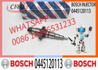 China Diesel Engine Common Rail Injector 0445120113 0445 120 113 0 445 120 113 for sale