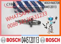 China Diesel Engine Common Rail Injector 0445120113 0445 120 113 0 445 120 113 for sale