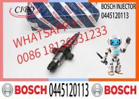 China Diesel Engine Common Rail Injector 0445120113 0445 120 113 0 445 120 113 for sale