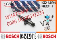 China Diesel Engine Common Rail Injector 0445120113 0445 120 113 0 445 120 113 for sale