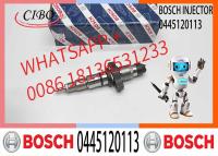 China Diesel Engine Common Rail Injector 0445120113 0445 120 113 0 445 120 113 for sale