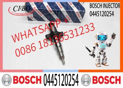 China High Performance Diesel Engine Common Rail Fuel Injector 5263317 0445120254 for sale