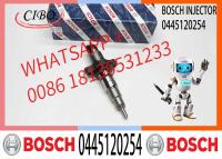 China High Performance Diesel Engine Common Rail Fuel Injector 5263317 0445120254 for sale