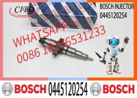 China High Performance Diesel Engine Common Rail Fuel Injector 5263317 0445120254 for sale