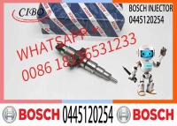 China High Performance Diesel Engine Common Rail Fuel Injector 5263317 0445120254 for sale