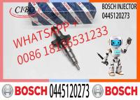 China Injector 0445120273 Common Rail Injector 0445 120 273 Diesel Injection 0 445 120 273 For Car for sale