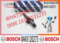 China Injector 0445120273 Common Rail Injector 0445 120 273 Diesel Injection 0 445 120 273 For Car for sale