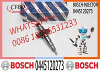China Injector 0445120273 Common Rail Injector 0445 120 273 Diesel Injection 0 445 120 273 For Car for sale