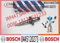 China Injector 0445120273 Common Rail Injector 0445 120 273 Diesel Injection 0 445 120 273 For Car for sale