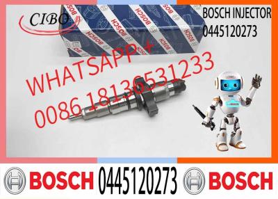 China Injector 0445120273 Common Rail Injector 0445 120 273 Diesel Injection 0 445 120 273 For Car for sale