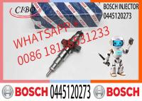 China Injector 0445120273 Common Rail Injector 0445 120 273 Diesel Injection 0 445 120 273 For Car for sale