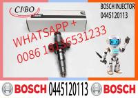 China High Quality Diesel Fuel Injector 0445120255, 044512010, 0445120113 for sale