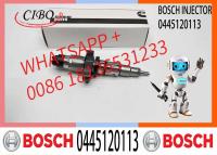 China High Quality Diesel Fuel Injector 0445120255, 044512010, 0445120113 for sale