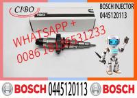 China High Quality Diesel Fuel Injector 0445120255, 044512010, 0445120113 for sale