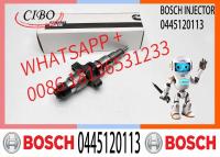 China High Quality Diesel Fuel Injector 0445120255, 044512010, 0445120113 for sale