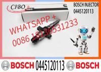 China High Quality Diesel Fuel Injector 0445120255, 044512010, 0445120113 for sale