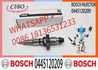China Fuel Injection Systems 0 445 120 209 Diesel Fuel Injector 0445 120 209 0445120209 For Car for sale