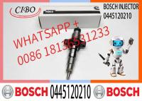 China Fuel Injection  Diesel Fuel Injector 0445120210 Elect 0 445 120 209 Diesel Fuel Injector 0445 120 209 0445120209 For Car for sale
