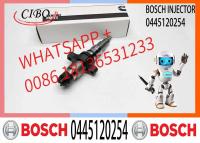 China High Performance Diesel Engine Common Rail Fuel Injector 5263317 0445120254 for sale