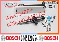China High Performance Diesel Engine Common Rail Fuel Injector 5263317 0445120254 for sale