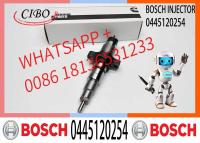 China High Performance Diesel Engine Common Rail Fuel Injector 5263317 0445120254 for sale