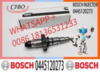 China Injector 0445120273 Common Rail Injector 0445 120 273 Diesel Injection 0 445 120 273 For Car for sale