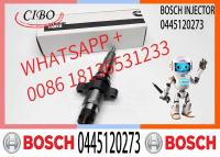China Injector 0445120273 Common Rail Injector 0445 120 273 Diesel Injection 0 445 120 273 For Car for sale