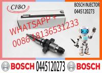 China Injector 0445120273 Common Rail Injector 0445 120 273 Diesel Injection 0 445 120 273 For Car for sale