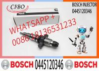 China Fuel Injection Pump Parts 0445 120 346 Auto Injector 0 445 120 346 Injector Assy Fuel 0445120346 for sale